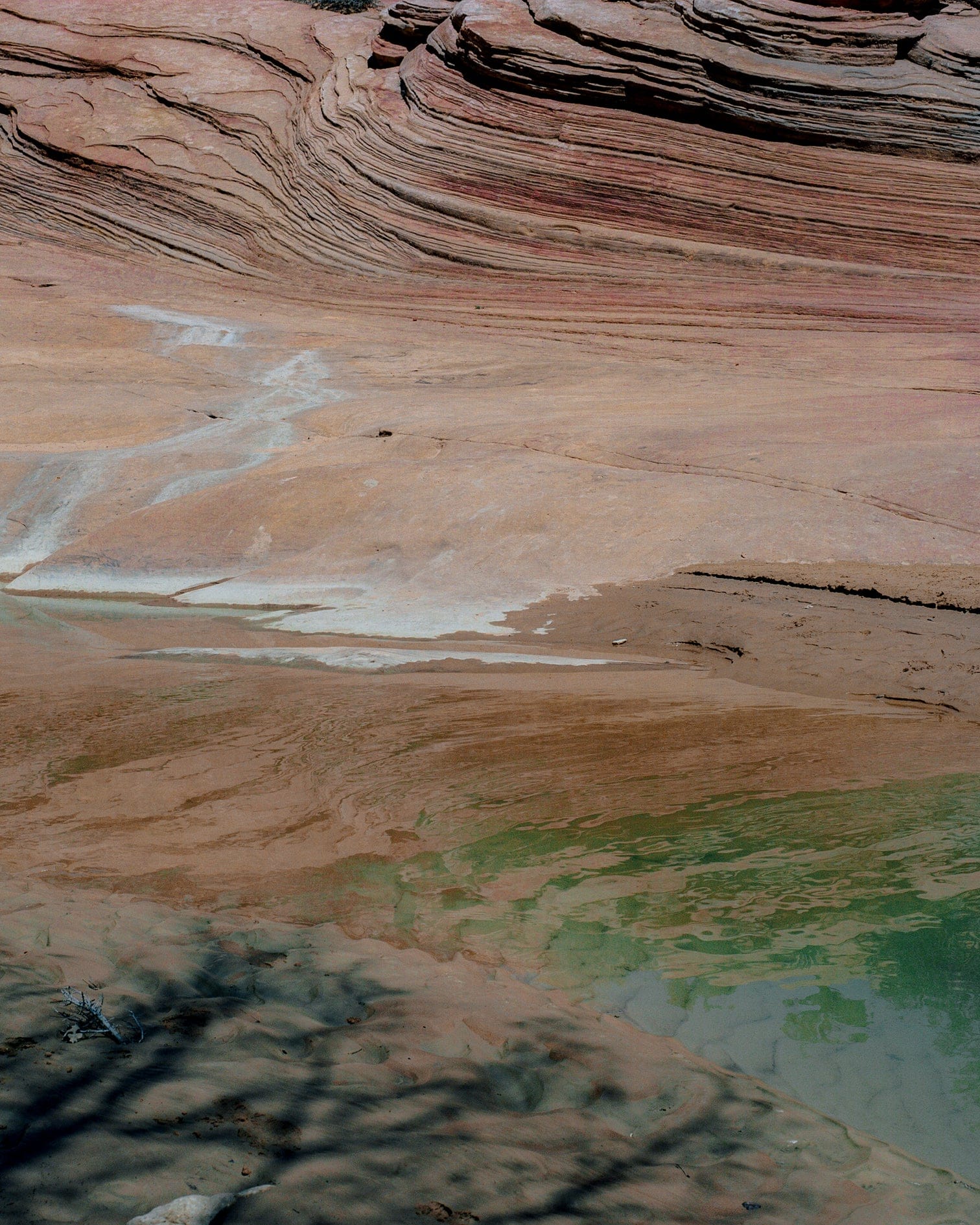 Desert Light, Canyon Cool: Zion National Park | Wildsam