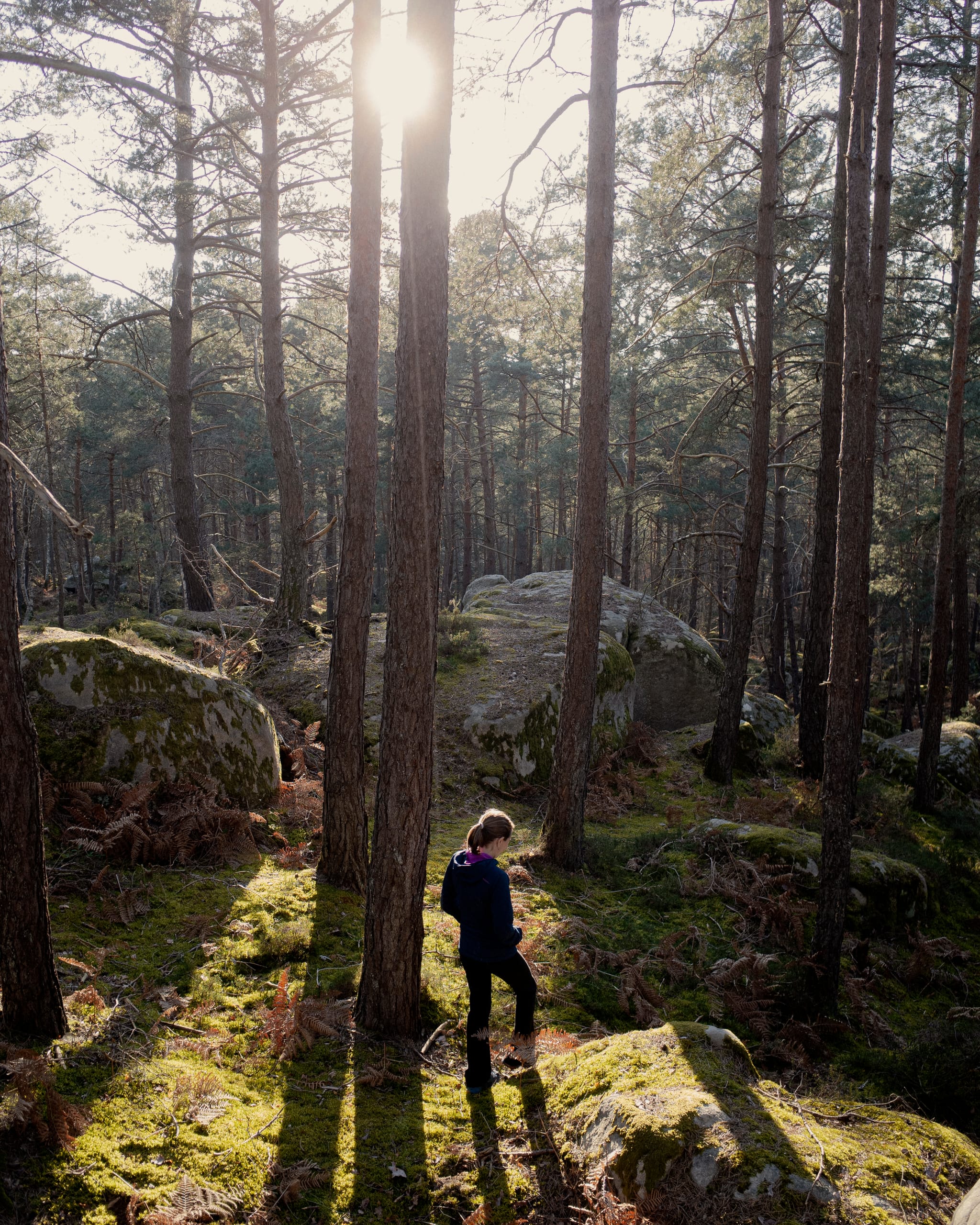 Beth Rodden's Peaks and Valleys | Wildsam