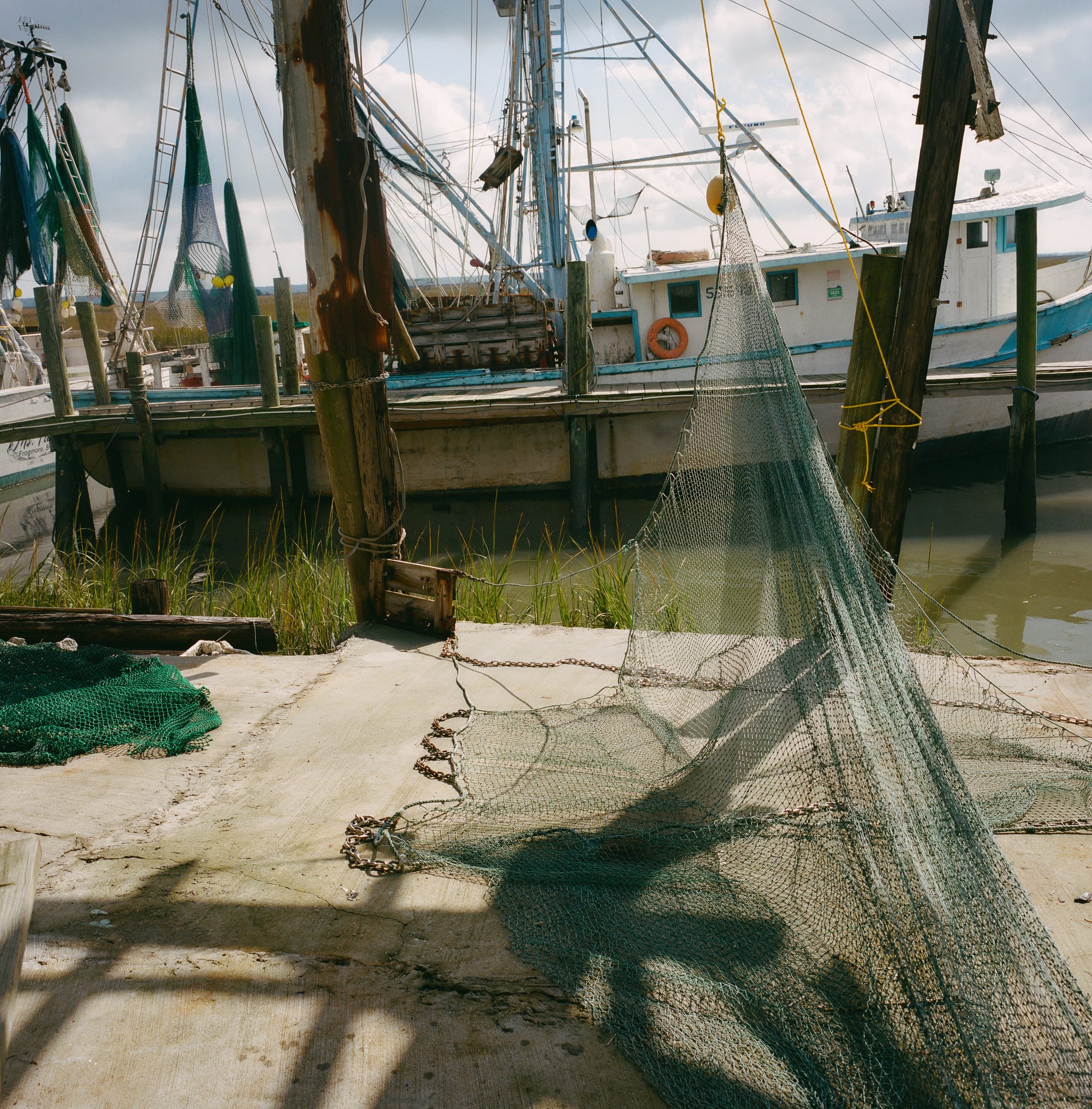 The Fish Company Where Forrest Gump Really Got All of His Shrimp From ...