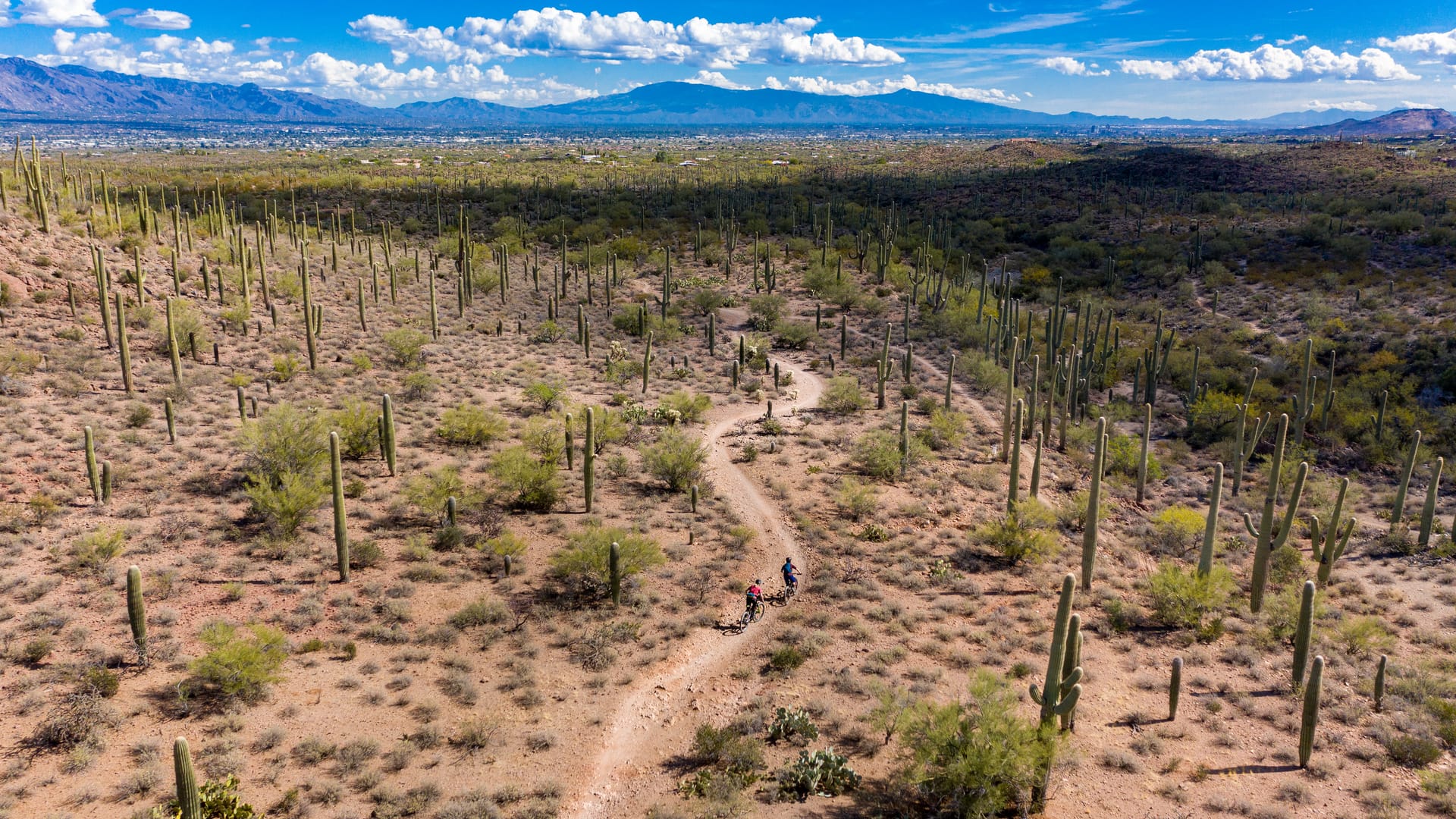 Essential Tucson: The Ultimate To-Do List for Visitors | Wildsam