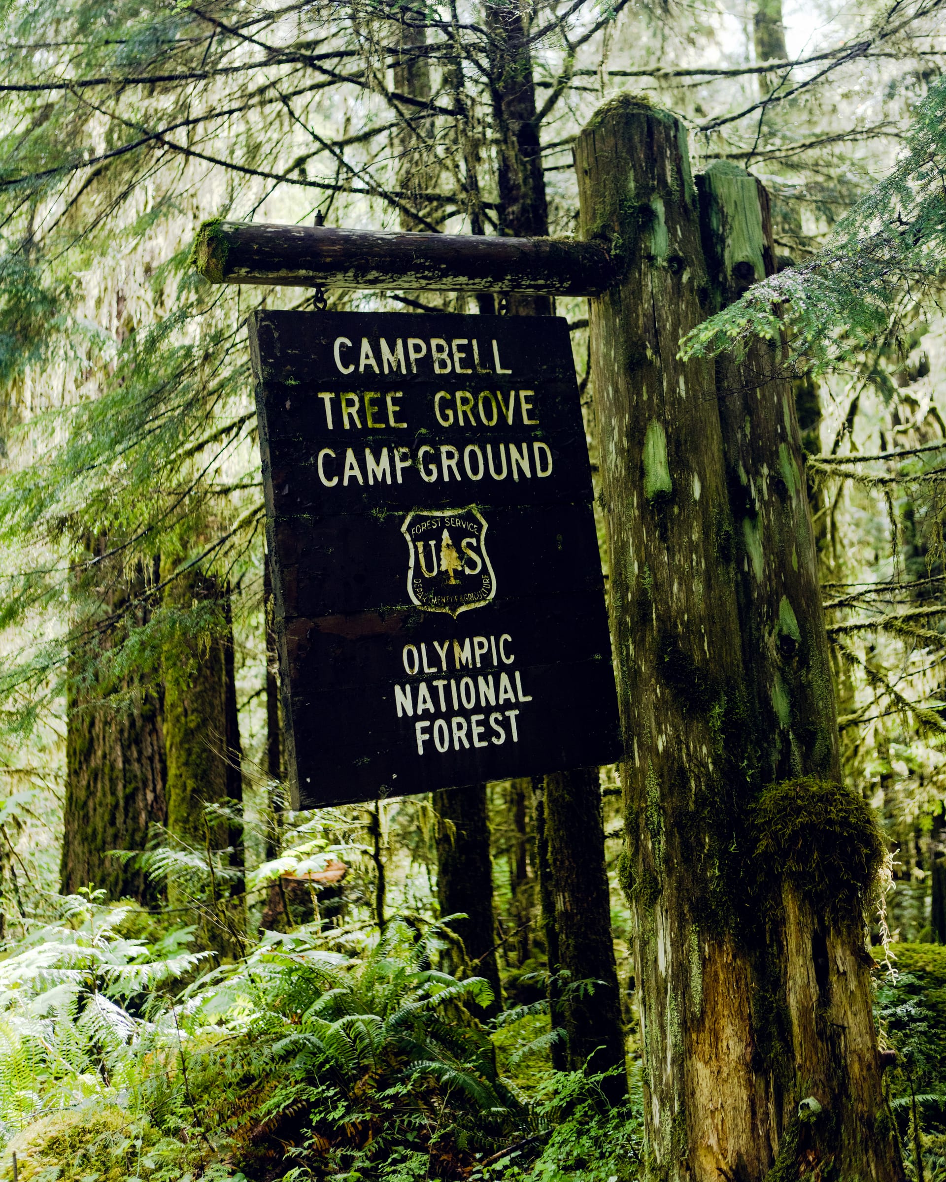 A Scenic Drive Through The Olympic Peninsula Leads to a Wild World ...