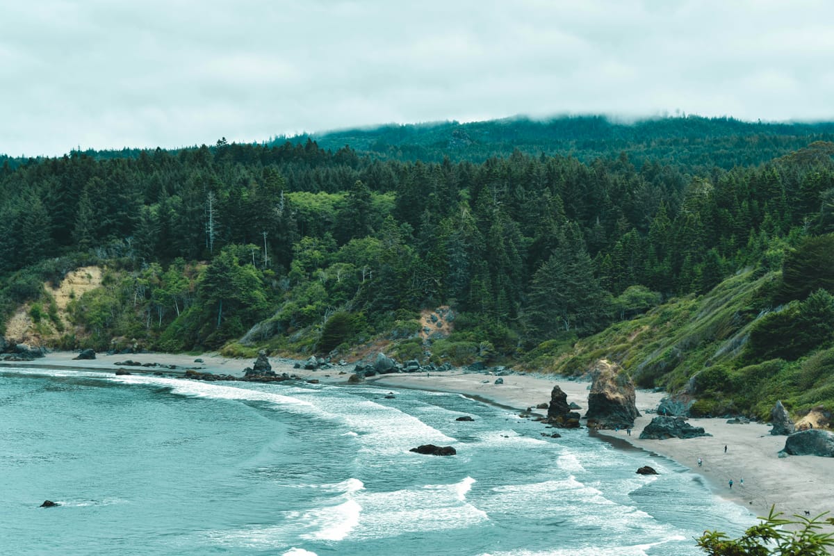 A Five-Day Road Trip In Northern California's Redwood Country | Wildsam