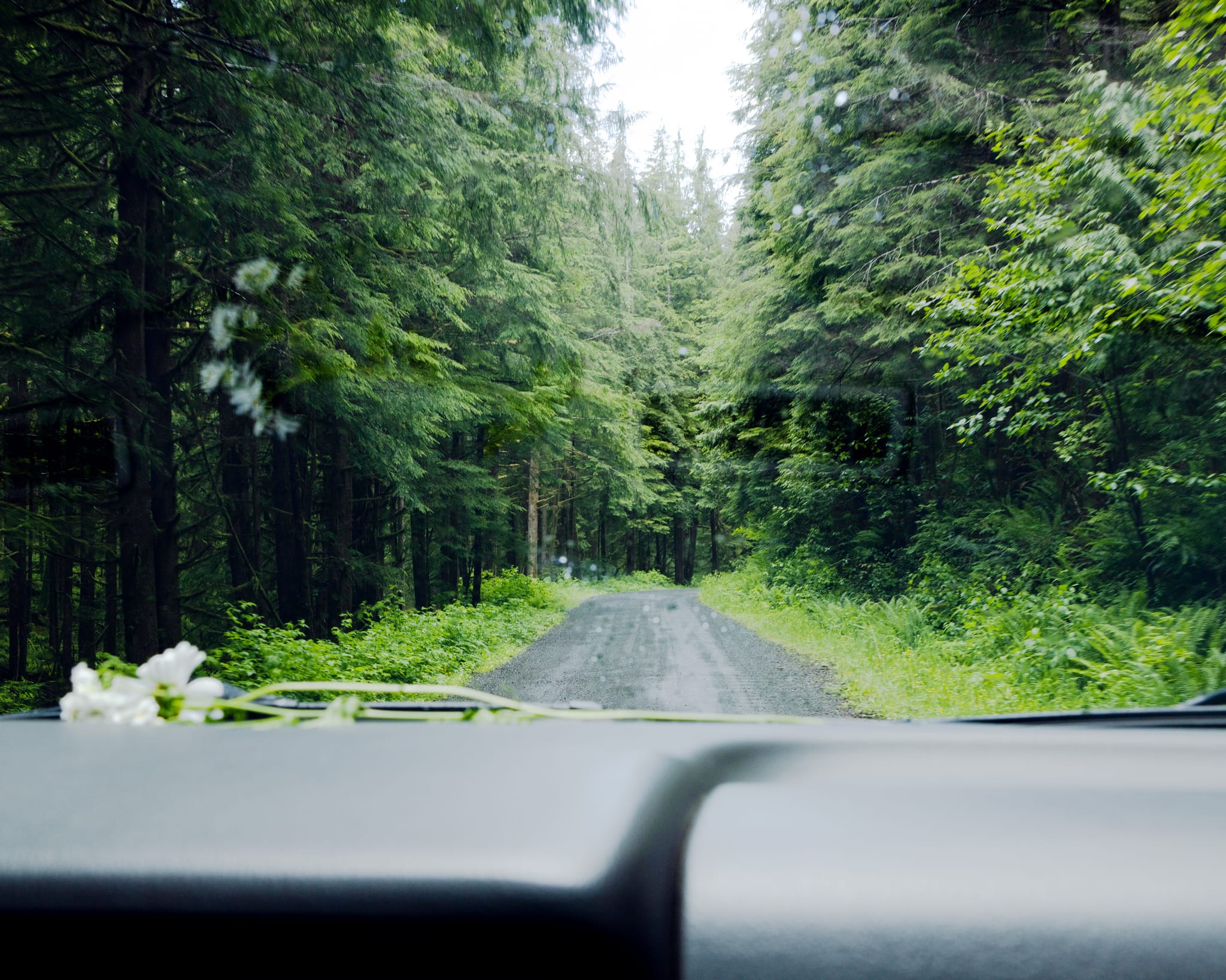 Wildsam - Stories | Wildsam