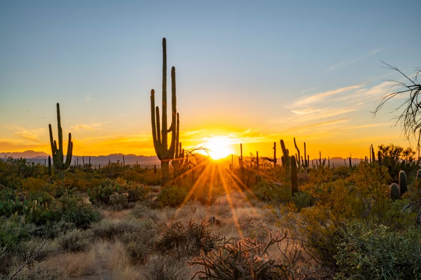 Essential Tucson: The Ultimate To-Do List for Visitors | Wildsam