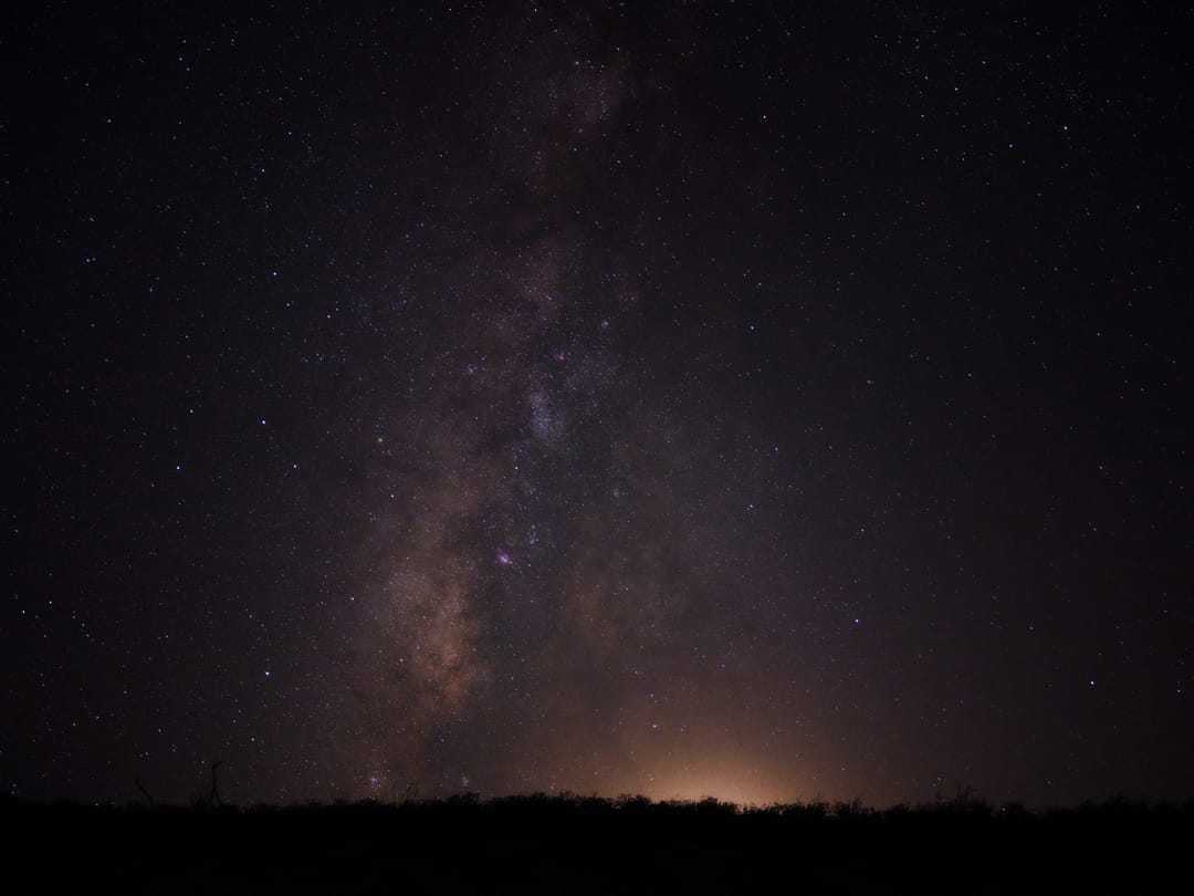 Deep in the Heart of Darkness | Wildsam